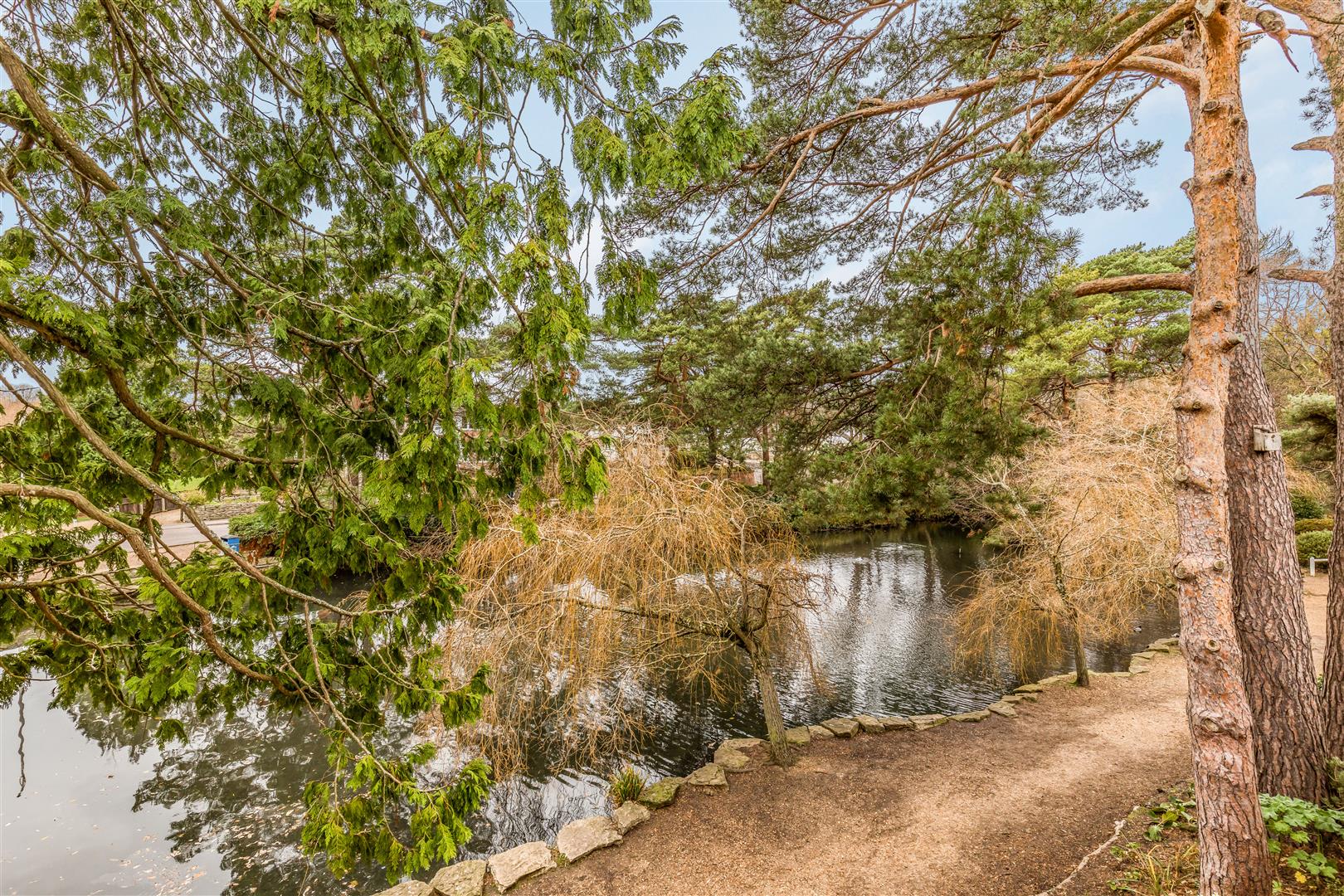 Coy Pond Road, Poole - Saxe Coburg